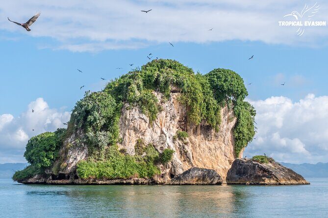 6-Day Private Tour between Bayahibe and Samana Bay - The Sum Up