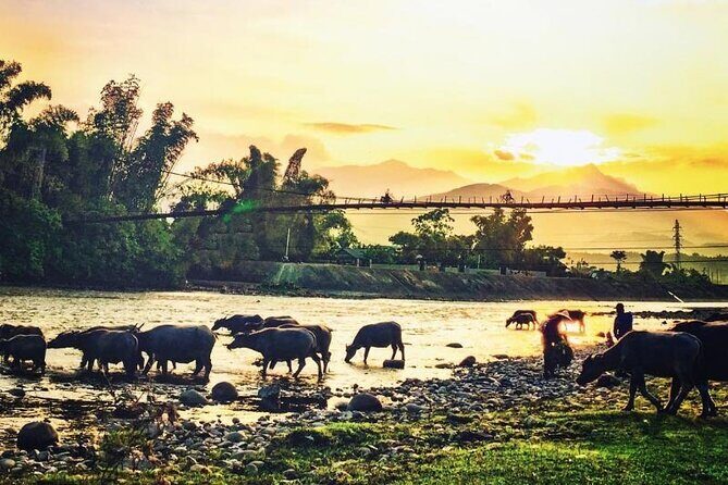 6-Day Private Tour Mu Cang Chai and Sapa from Hanoi - A Deep Dive into the 6-Day Itinerary