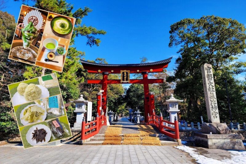 6-Day Private Tour to Kyoto via Fukui from Fukuoka with Bus - Who This Tour Is Best For
