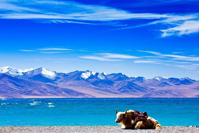 6-Day Small Group Lhasa City and Holy Lake Namtso Tour - The Sum Up