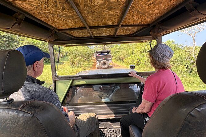 6 Day Sri Lanka Cultural Scenic Wildlife Tour Highlights - Key Points