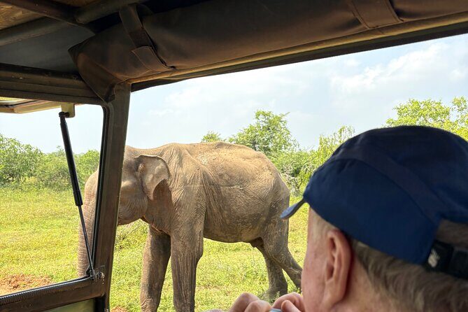 6 Day Sri Lanka Cultural Scenic Wildlife Tour Highlights - Frequently Asked Questions