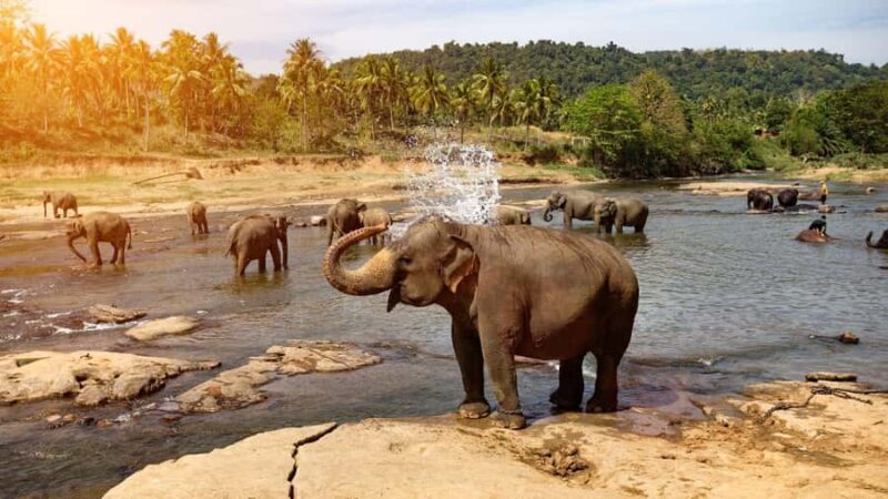 "6-Day Sri Lanka Escape: From Highlands to the Sea" - An Introduction to the Tour