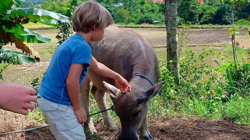 6-Day Toraja Experience Tour with Local Stay from Makassar - Assessing the Value