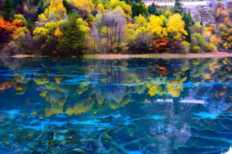 6 Day Tour Including Chengdu, Jiuzhaigou And Dagu Glacier - Who This Tour Is Best For