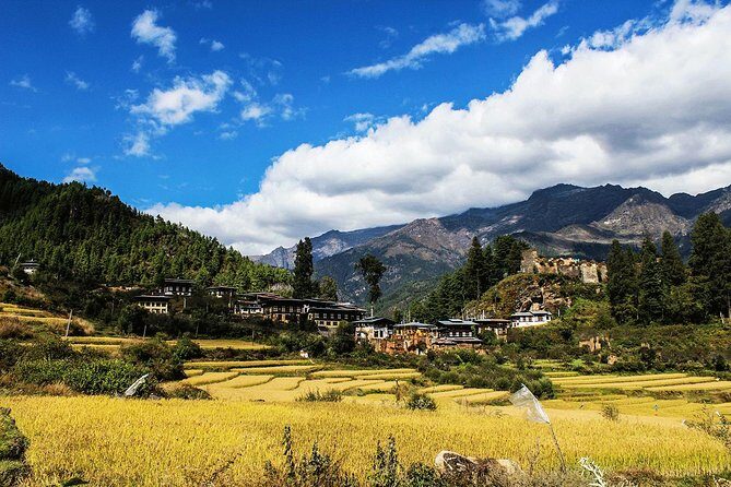 6-Day Tour of Dragon Kingdom From Paro - Authenticity, Comfort, and Practicality