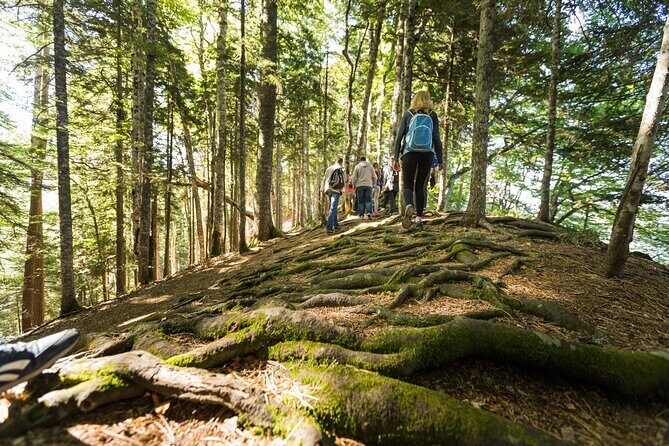 6 Day Tour - Trekking, Rafting, Jeep safari and Canyoning - FAQ