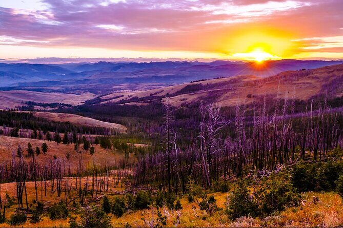 6-Day Yellowstone and Mount Rushmore Tour from Salt Lake City - FAQs