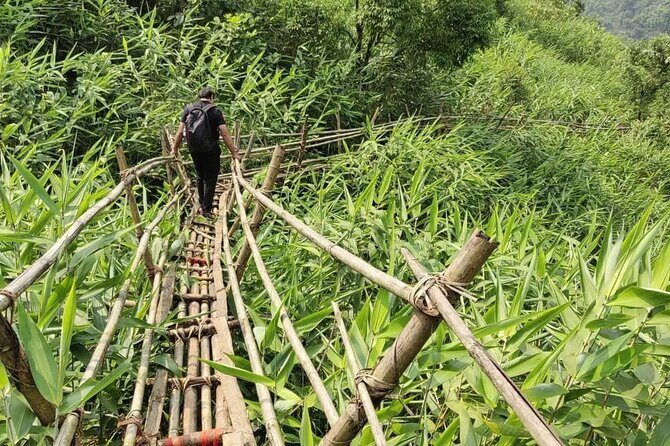 6 Days Assam & Meghalaya Tour - Introduction: What You Can Expect