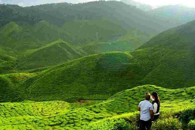 6 Days Assam & Meghalaya Tour - Final Thoughts: Who Is This Tour Best For?