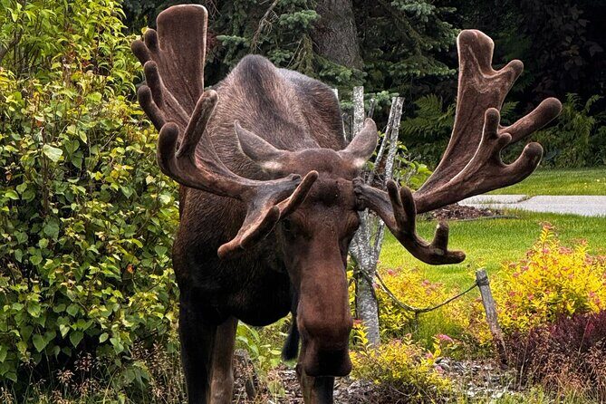 6 Days Best of Grand Alaska Highlights Tour - Who Should Consider This Tour?