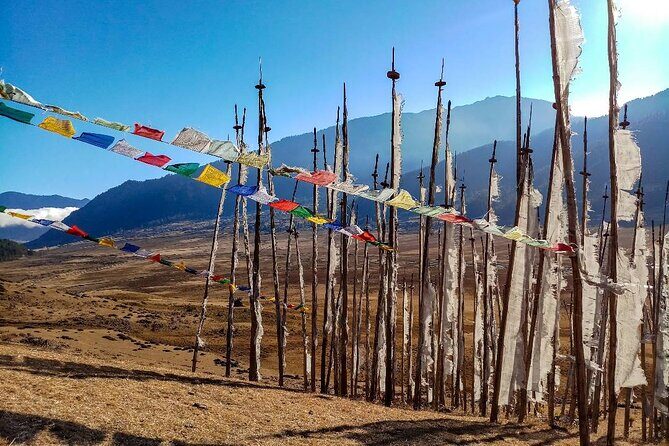 6 Days Bhutan Private Tour to Gangtey - The Sum Up