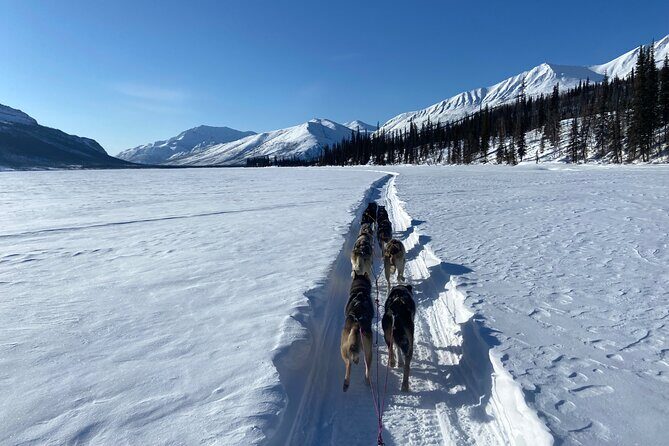 6 Days Brooks Range Expedition Private Tour - An In-Depth Look at the Itinerary and Experience