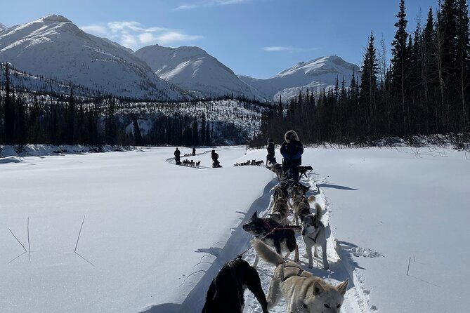 6 Days Brooks Range Expedition Private Tour - FAQs