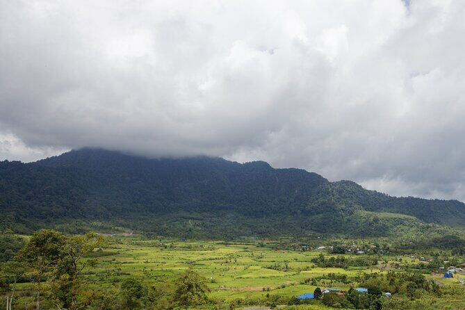 6 Days Bukit Lawang - Berastagi Tour (2D1N Jungle Treking + Sunrise Hiking) - Introduction: What This Tour Offers and Why It Stands Out