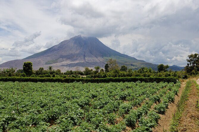6 Days Bukit Lawang - Berastagi Tour (2D1N Jungle Treking + Sunrise Hiking) - Why Travelers Rave About This Tour