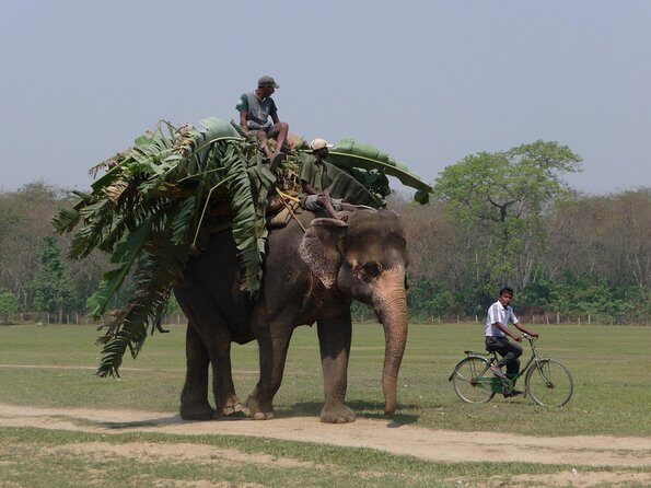 6 Days Chepang Village Homestay Hill Hike - An In-Depth Look at the 6-Day Chepang Village Homestay Hill Hike