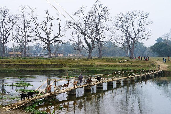 6 Days Chepang Village Homestay Hill Hike - Final Thoughts: Is This the Adventure for You?