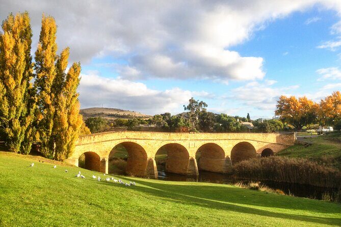 6-Days Discovery Tour of Tasmania - Comfort Style - FAQs