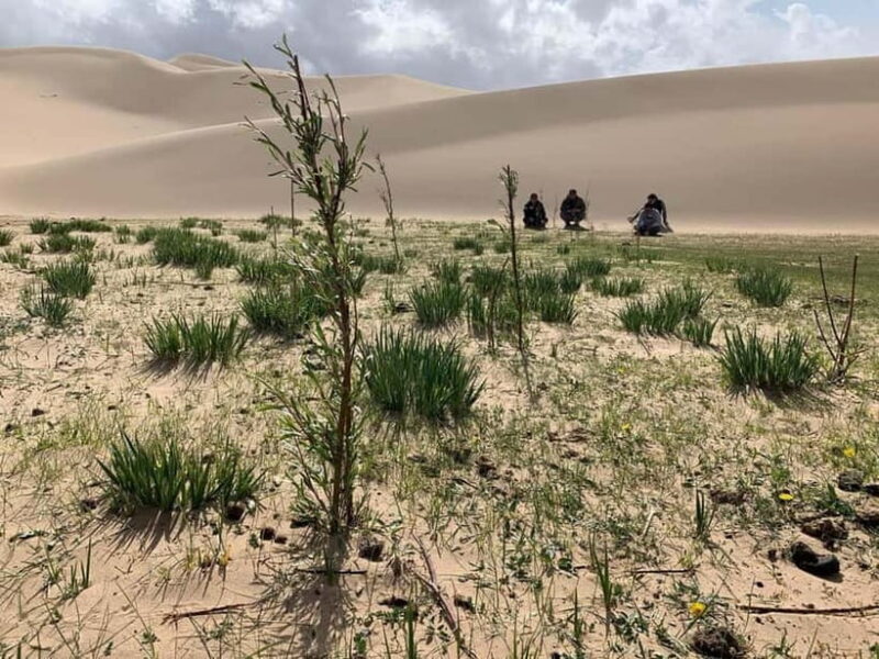 6 Days Great Gobi tour-Amazing memory - Frequently Asked Questions