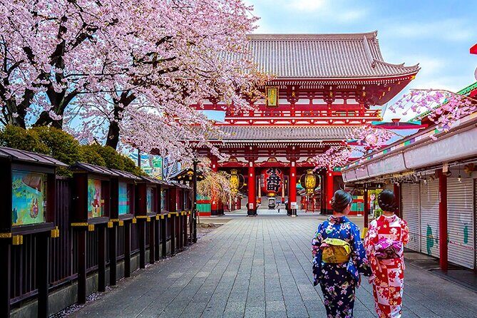 6 Days Japan Kanto, Kansai Tour - The Value of Guided Group Tours in Japan