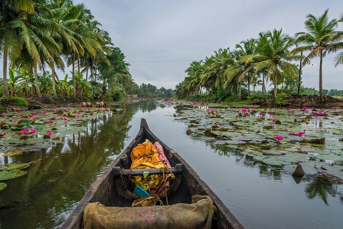 6 Days Kerala Honeymoon Tour - Frequently Asked Questions