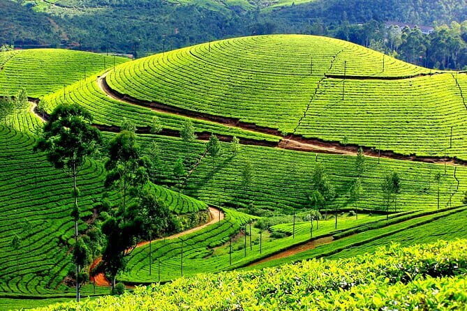6 Days Kerala Tour Package With Houseboat Stay - Overall Value & Practical Considerations