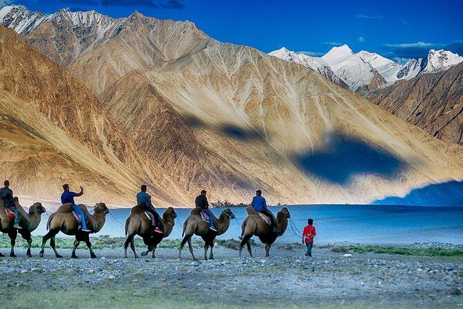6 Days Magical Ladakh Tour - Day 4: Nubra Valley and Desert Dunes