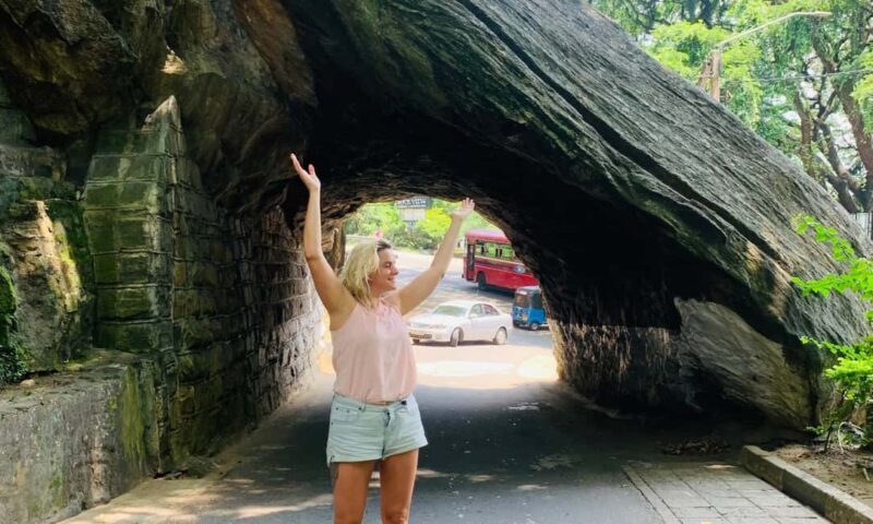 6 Days of Sri Lanka with all inclusive Wellness escapes - Final Thoughts: Is This Tour Right for You?