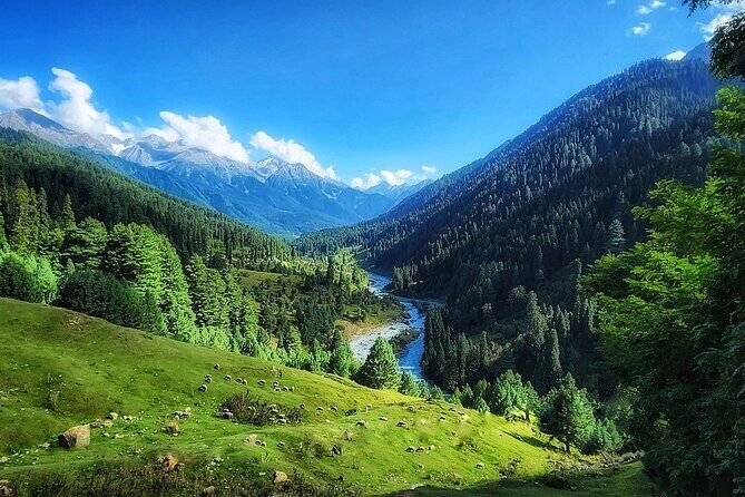 6 Days Private Tour in Kashmir - FAQs