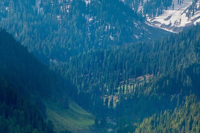 6 Days Private Tour in Kashmir Valley - Introduction: What to Expect from This Kashmir Tour