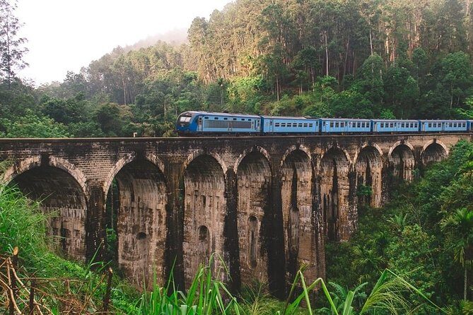 6 Days Private Tour with English Speaking Guide - Explore Sri Lanka - What Travelers Can Expect