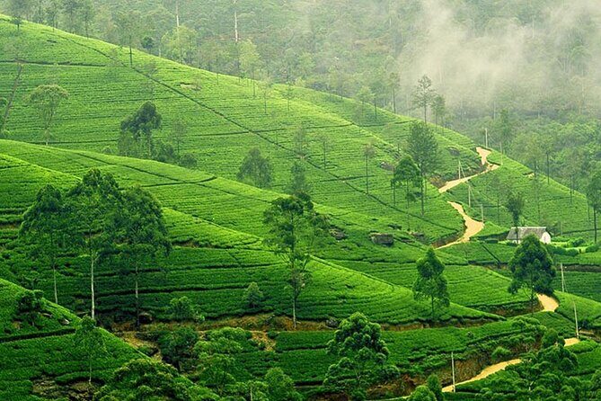 6 Days Private Vehicle With Driver Explore Sri Lanka By Your Own Plans - Exploring the Highlights of Sri Lanka: The Itinerary Breakdown