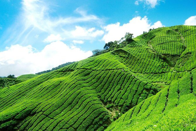 6 Days Sri Lanka Private Heritage Tour - A Deep Dive into the Itinerary