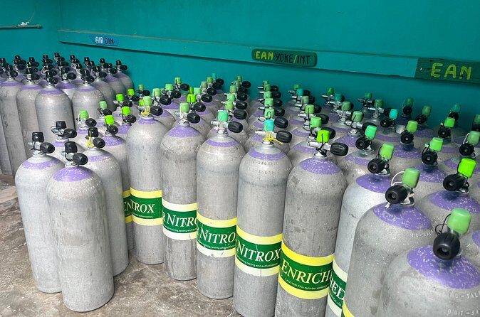 6 days Unlimited Diving Air and Nitrox package - Authentic and Enthusiastic Feedback from Divers