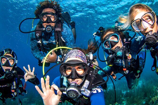 6 days unlimited diving - Key Points