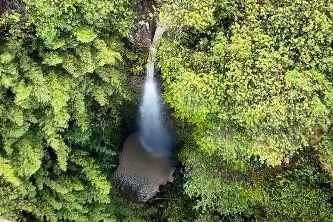 6 Dual-Zipline Mountain Adventure in Maui - Why This Tour Is a Great Deal