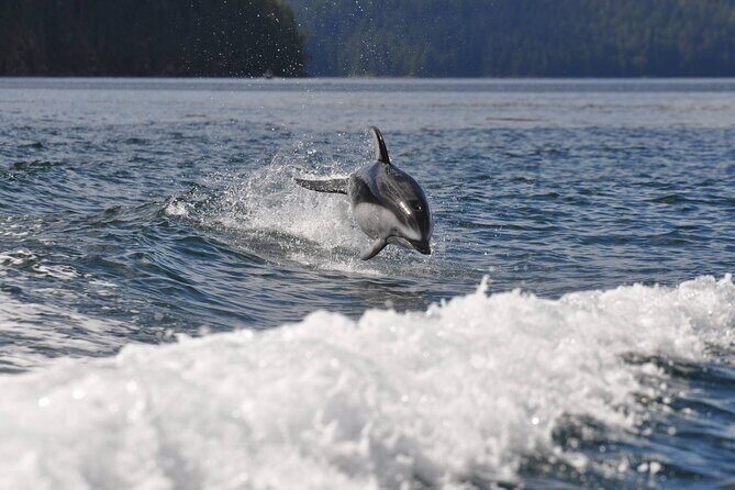 6 hour Covered Boat Whale Watching Tour - Who Would Love This Tour?