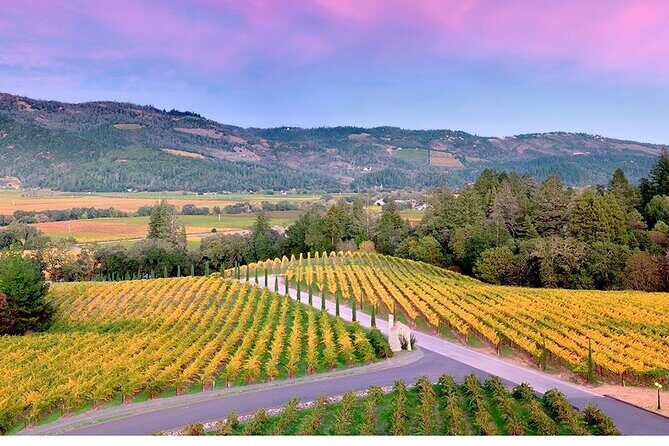 6 Hour Custom Napa or Sonoma Private Wine Tour - A Closer Look at the 6 Hour Custom Napa or Sonoma Private Wine Tour