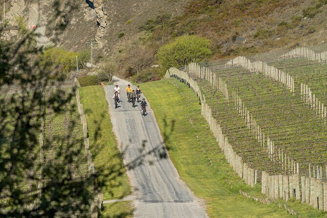 6 Hour EBike Rental in Queenstown New Zealand - The Real Value: Money Well Spent?
