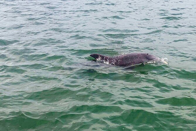 6-Hour Eco Tour in St. Petersburg from Florida - Second stop: Egmont Key State Park
