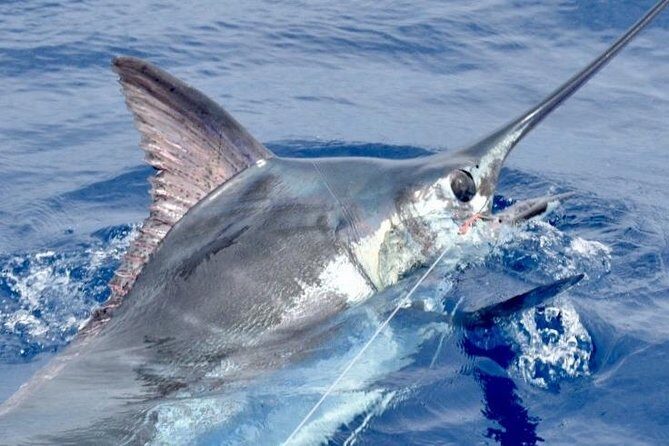 6 Hour Fishing Charter - The Itinerary: What Makes Each Part Special