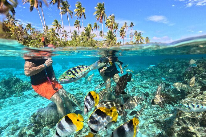6-Hour JetSki Excursion around Taha'a - Key Points