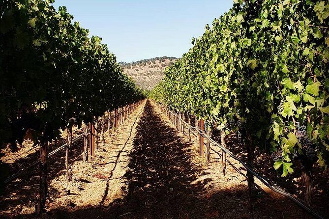 6-Hour Luxury Napa Wine Tasting Tour with Route Planning - The Experience in Detail