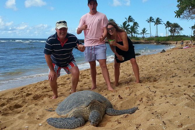 6-Hour Private Customized Luxury Convertible Tour of Oahu's North Shore - Key Points