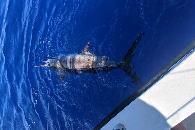 6 Hour Private Fishing Charter Kona, Hawaii - In The Sum Up