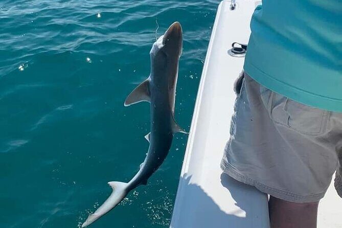 6 Hour Private Fishing Tour in Sarasota with Master Captain Bill - An In-Depth Look at the Sarasota Fishing Adventure