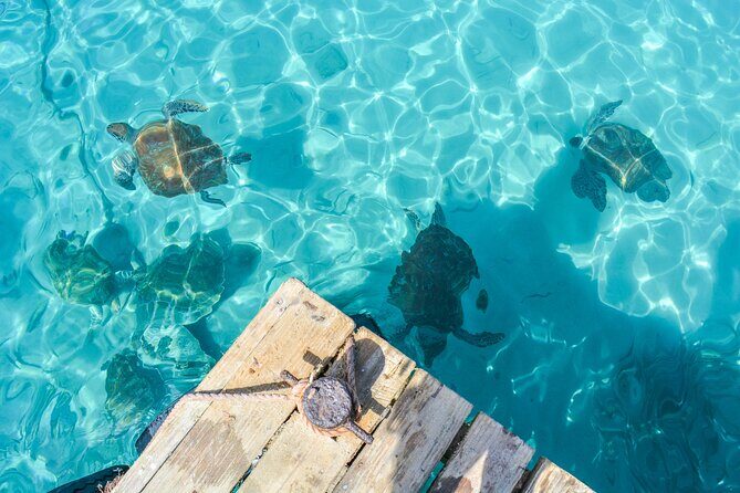 6 Hour Private Guided Tour Beyond the Beaches of Curacao - Value for Money