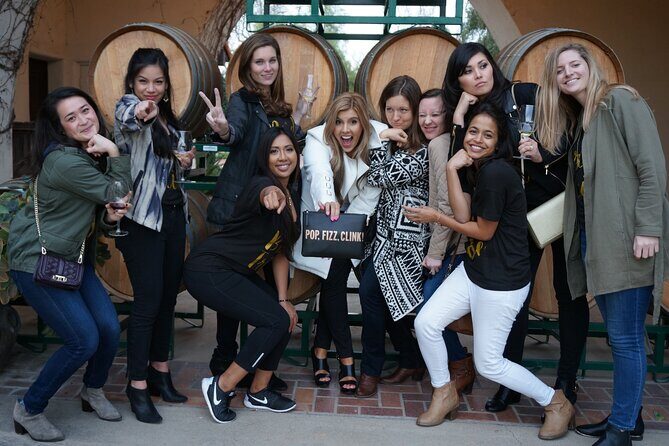 6-Hour Private Limousine Santa Barbara Wine Tour - Vehicle Comfort and Logistics