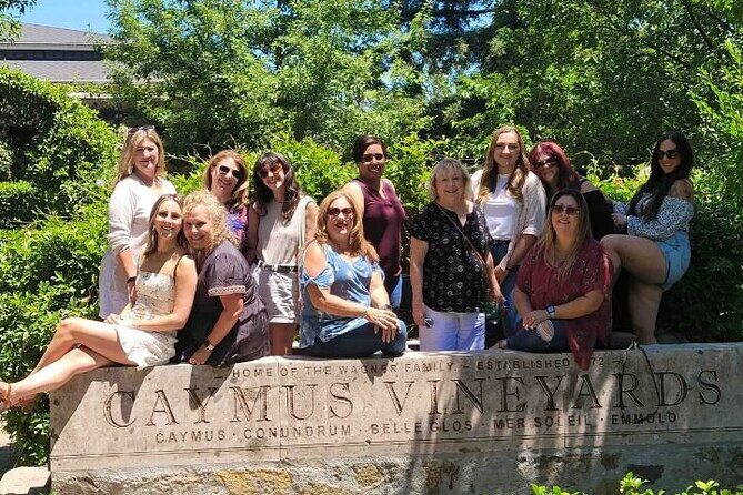 6-Hour Private Limousine Tour to Napa and Sonoma Valley Wineries - Who is This Tour Best For?